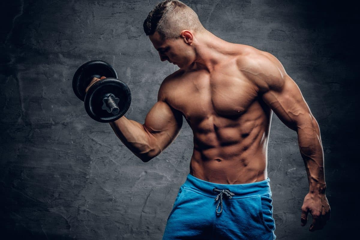 Shreddet! En guide til at komme ned på 10% kropsfedt - Onlinefitness.dk